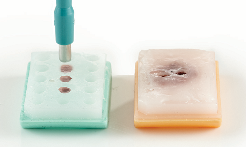 Tissue Microarray Construction Mold Kit