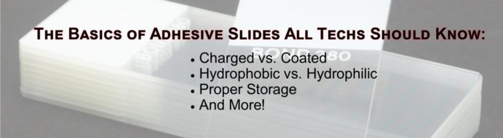 Newcomer Supply - Newcomer Supply